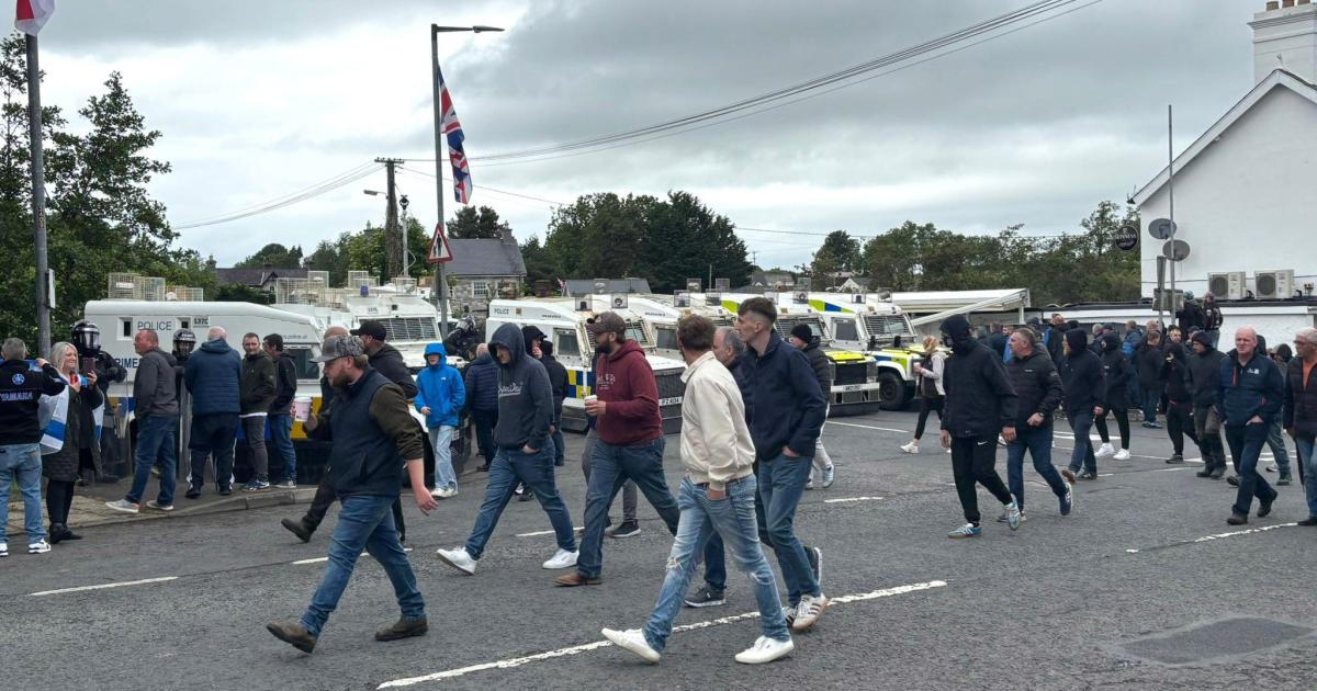 DUP MP defends photo with masked men at Scarva protest | Largs and ...